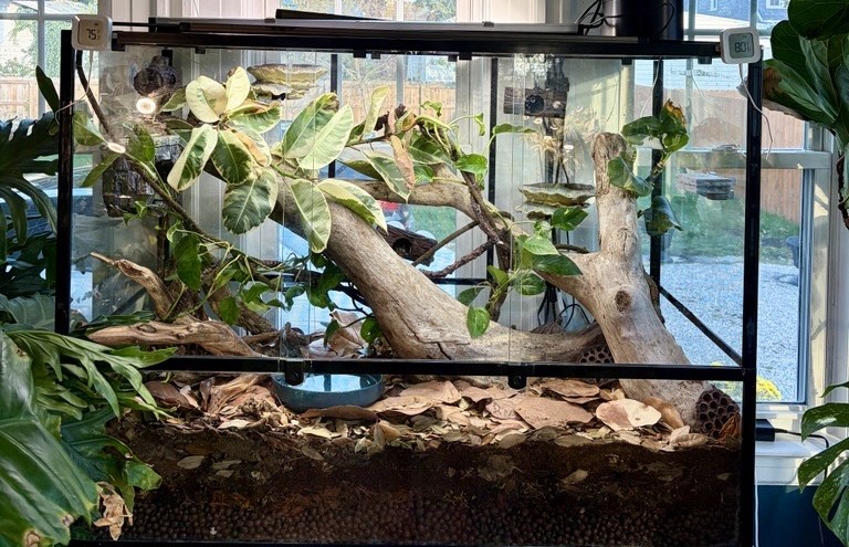 Habitat Builder - Reptile & Amphibian Enclosure Planner